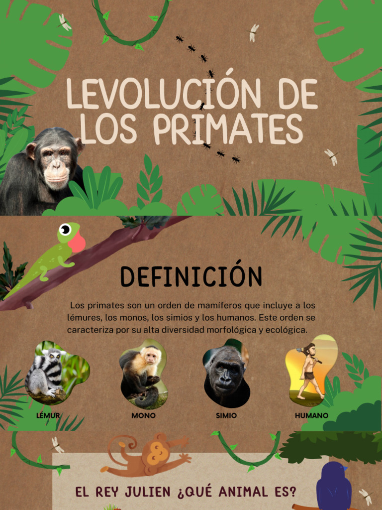 Evolución de Los Primates | PDF