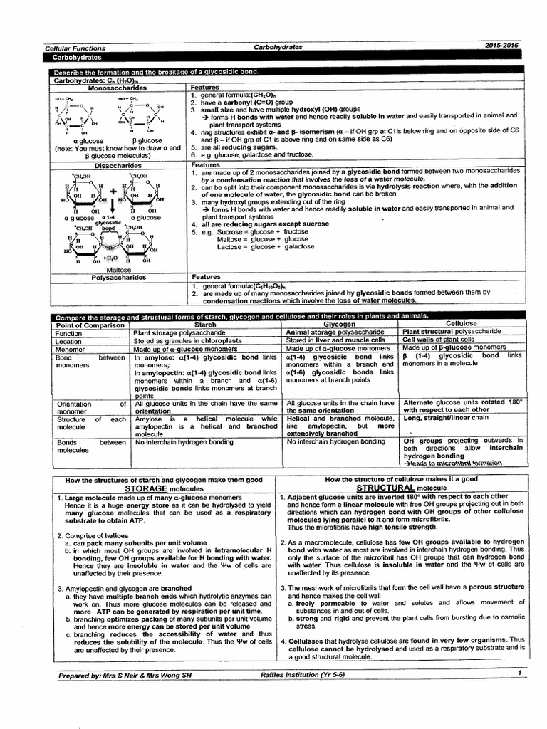 RJC Bio Summary | PDF