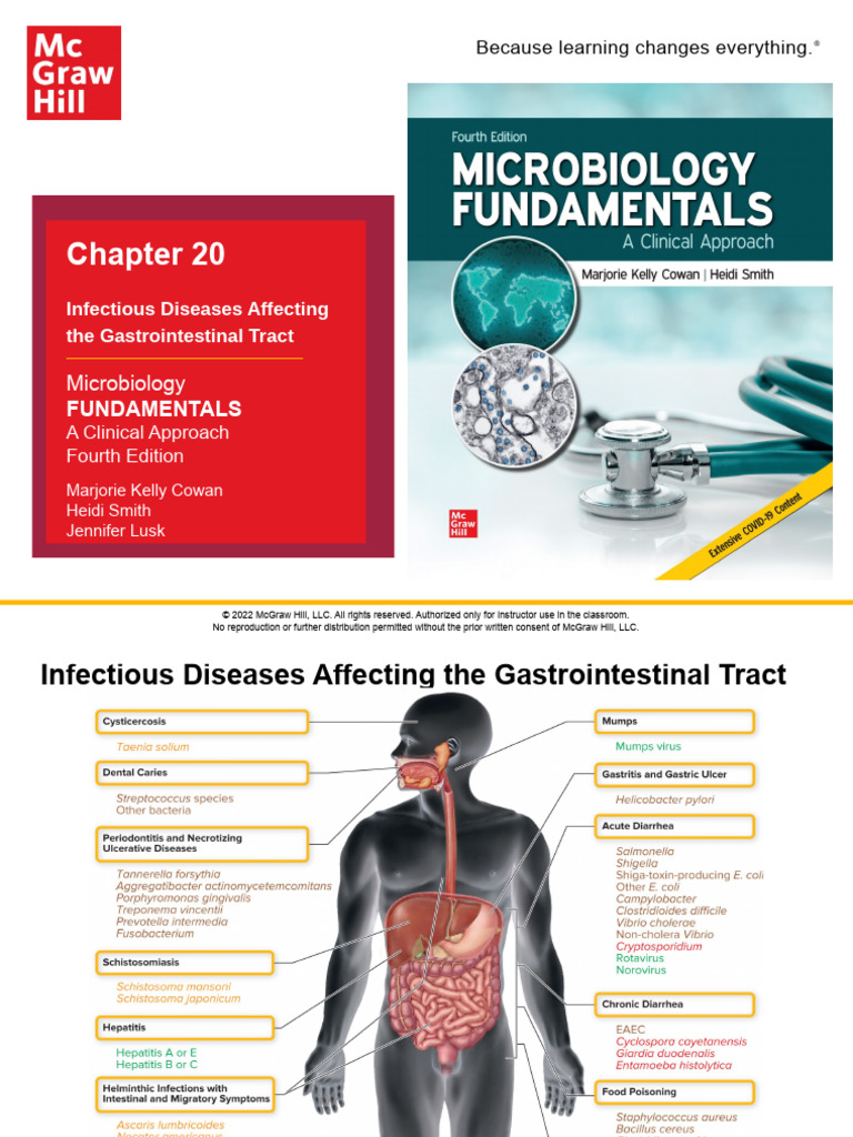 Ch20%2C+GI+Tract%2C+Summary | Download Free PDF | Diarrhea | Hepatitis