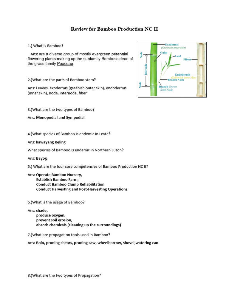 Review For Bamboo Production NCII | PDF | Bamboo | Fertilizer Review For Bamboo Production NCII | PDF | Bamboo | Fertilizer