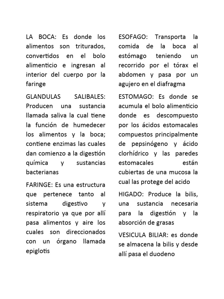 La Boca | PDF | Digestión | Sistema digestivo humano