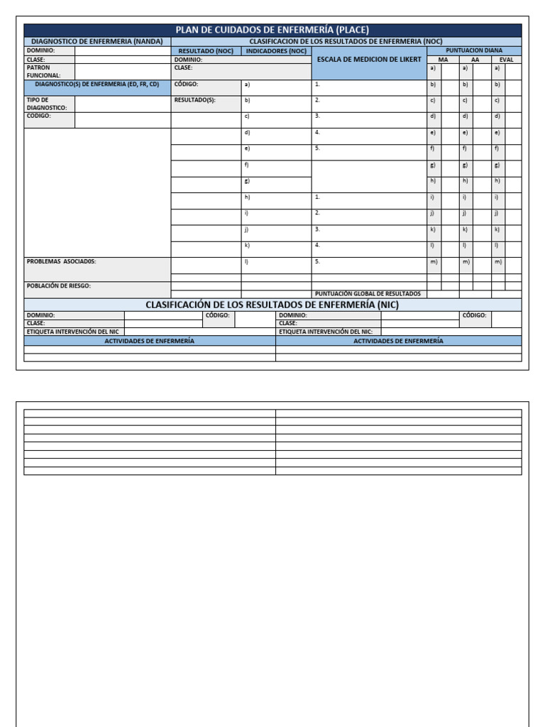Formato Pae 2024 | PDF | Enfermería | Cuidado de la salud