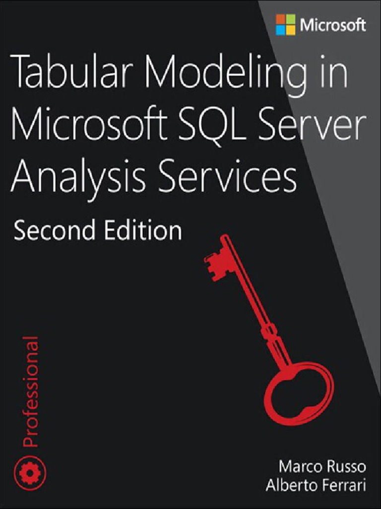 Tabular Modeling in Microsoft SQL Server Analysis Services (Developer Reference) by Marco Russo ...
