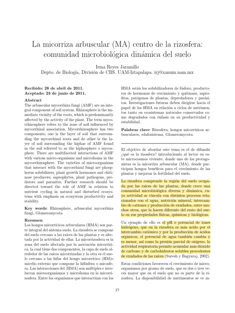 Micorriza Arbuscular en la Rizosfera | PDF | Hongo | Plantas