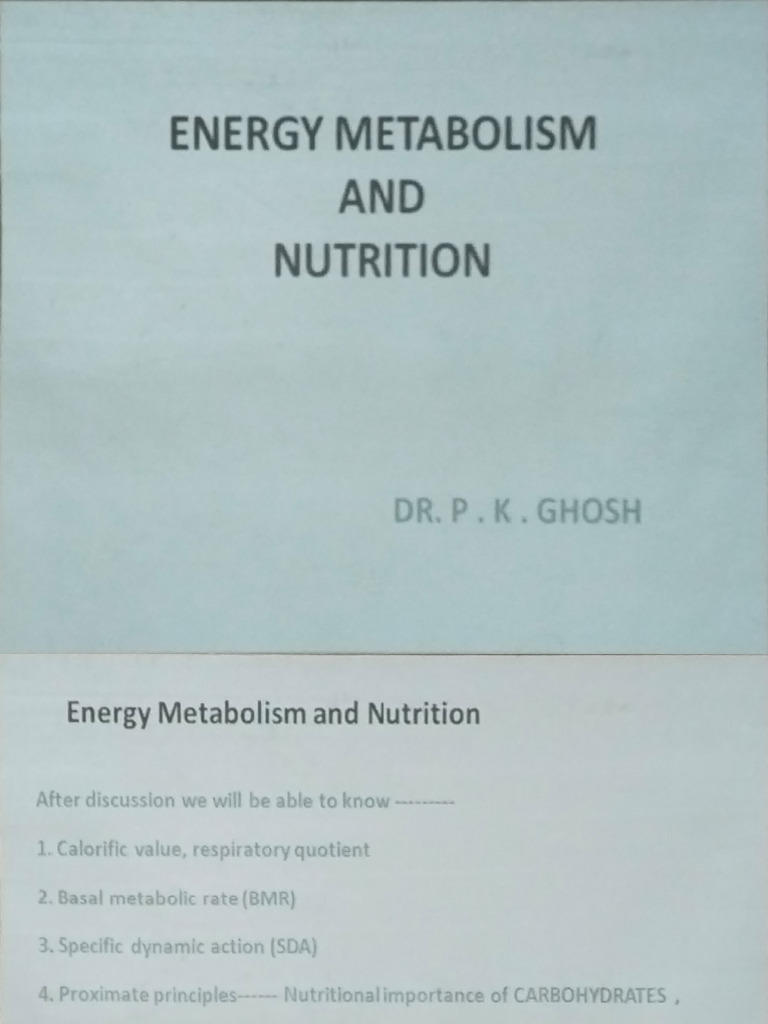 Energy Metabolism and Nutrition Class 1 | PDF