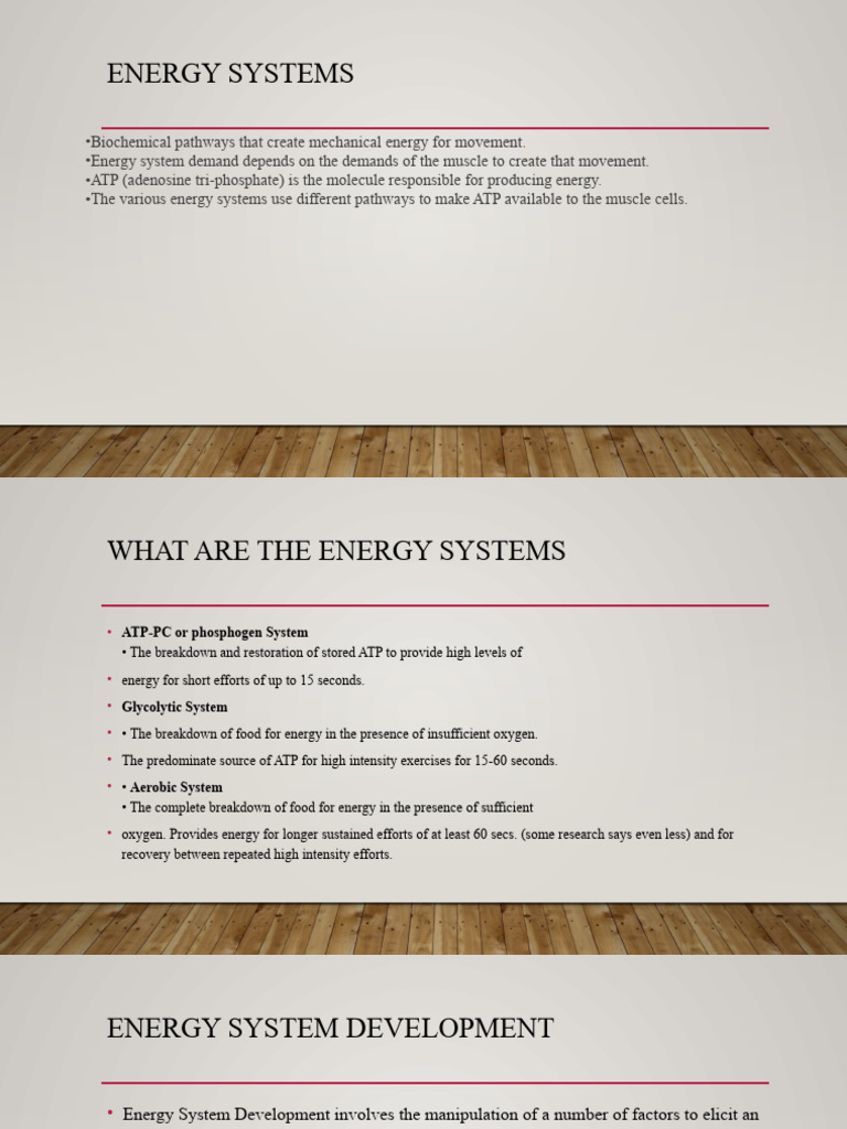 Energy System | PDF | Physiology