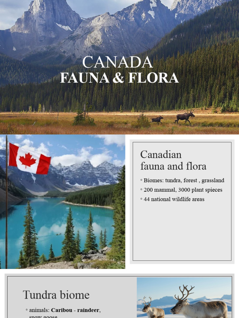 Fauna and Flora of Canada | PDF