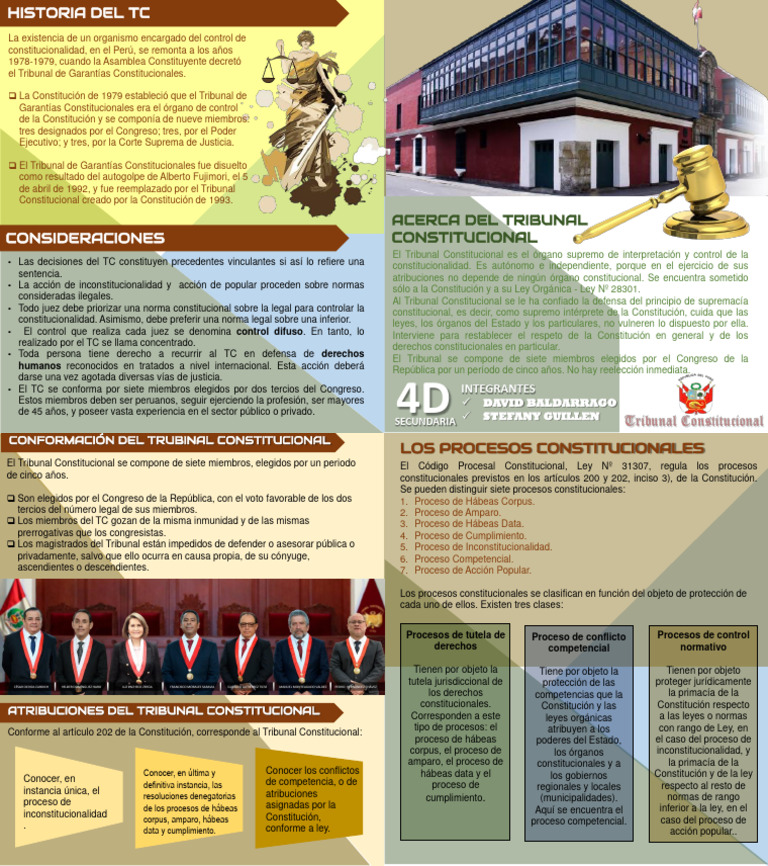 Diptico Tribunal Constitucional | PDF | Constitución | Documentos legales