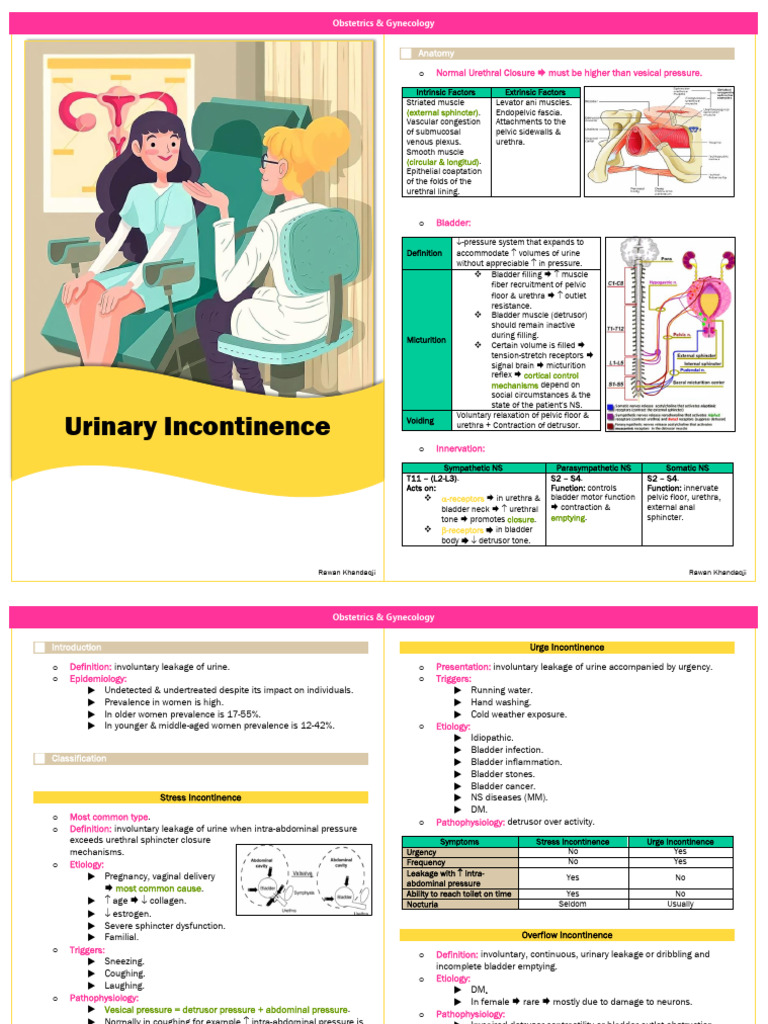 Urinary Incontinence | PDF | Urinary Incontinence | Urination