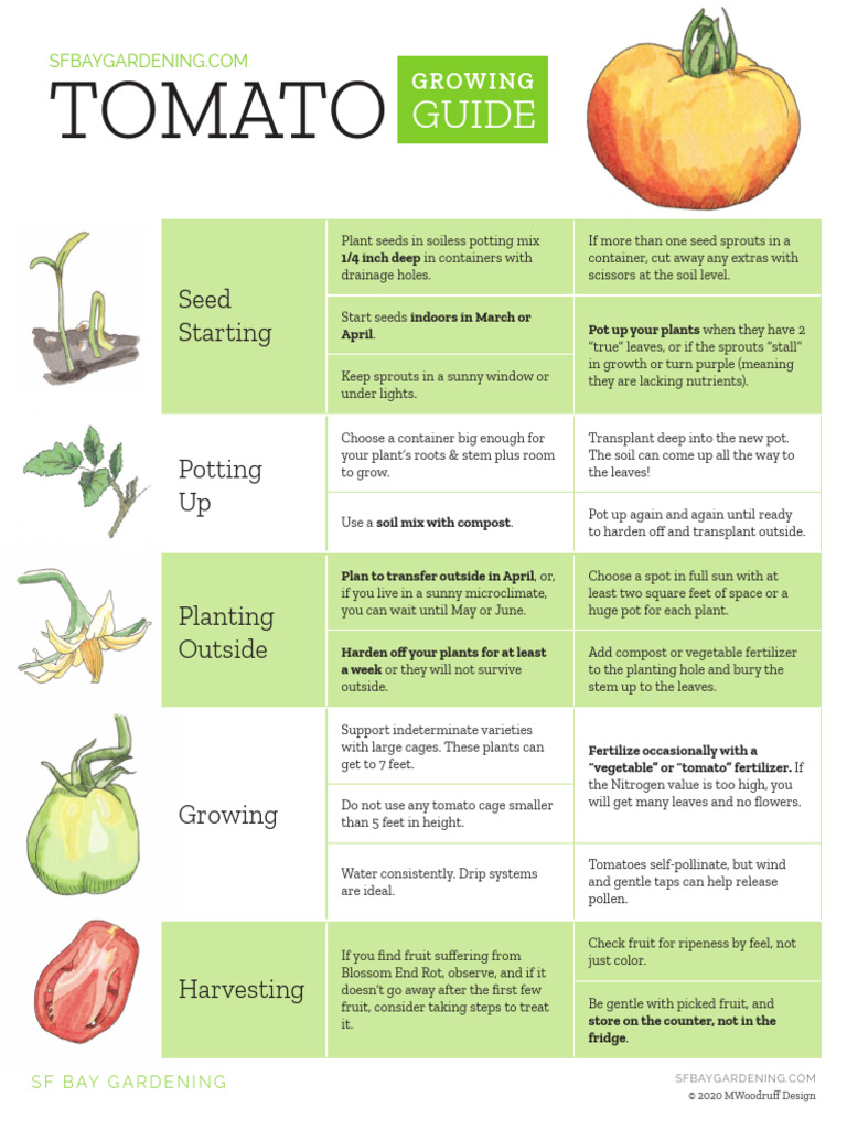 Tomato Growing Guide 2020 | Download Free PDF | Tomato | Plants