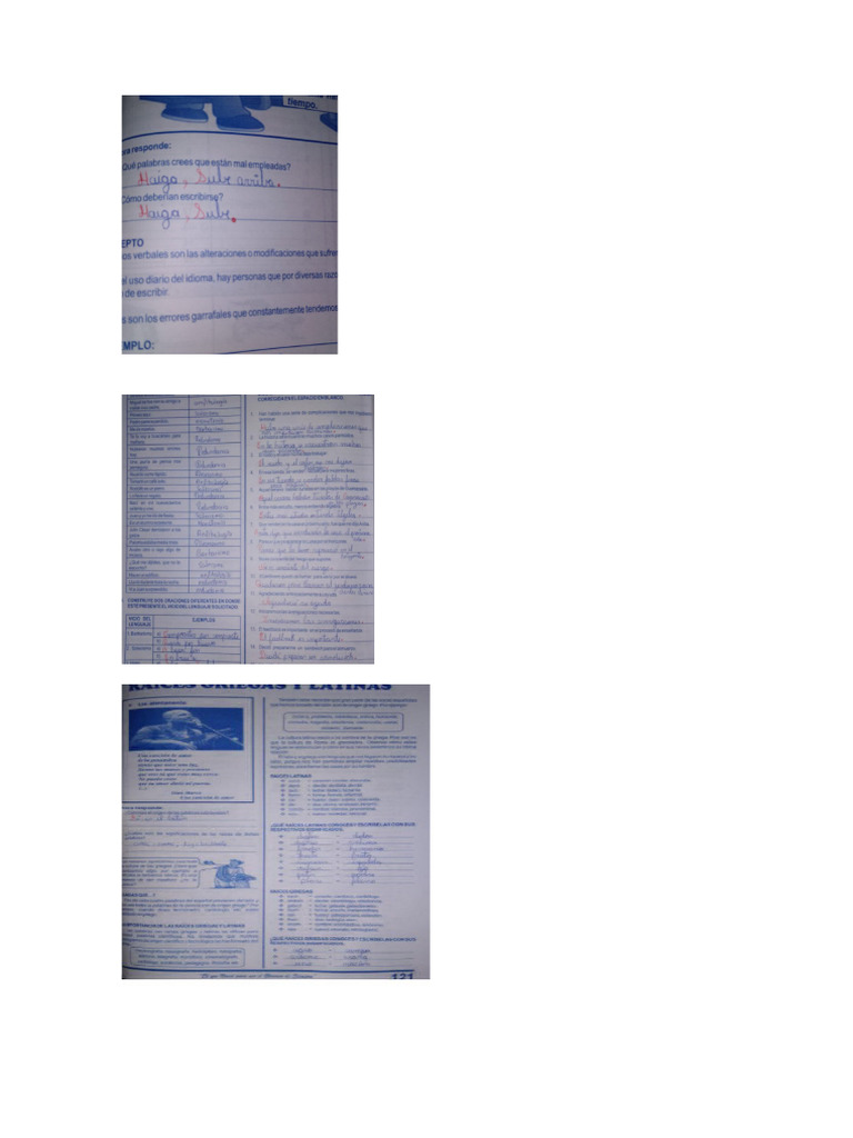 Libro de Raz. Verbal | PDF