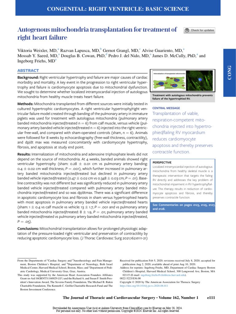 Autogenous Mitochondria Transplantation For Treatment of | PDF ...