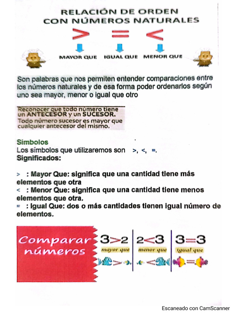Tema Relación de Orden | PDF