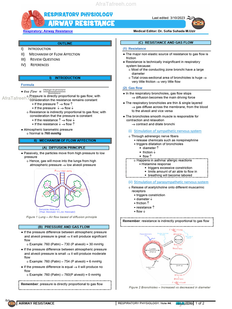 Airway Resistance (2) Atf | PDF | Respiratory Tract | Respiratory System