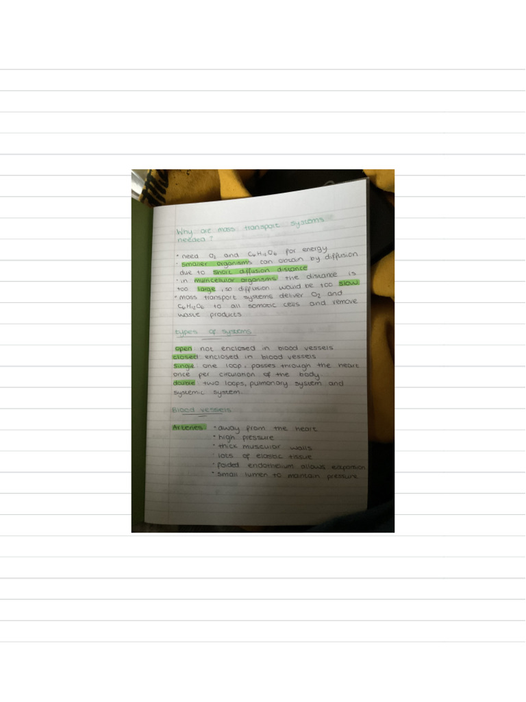 Class Notes Pdf