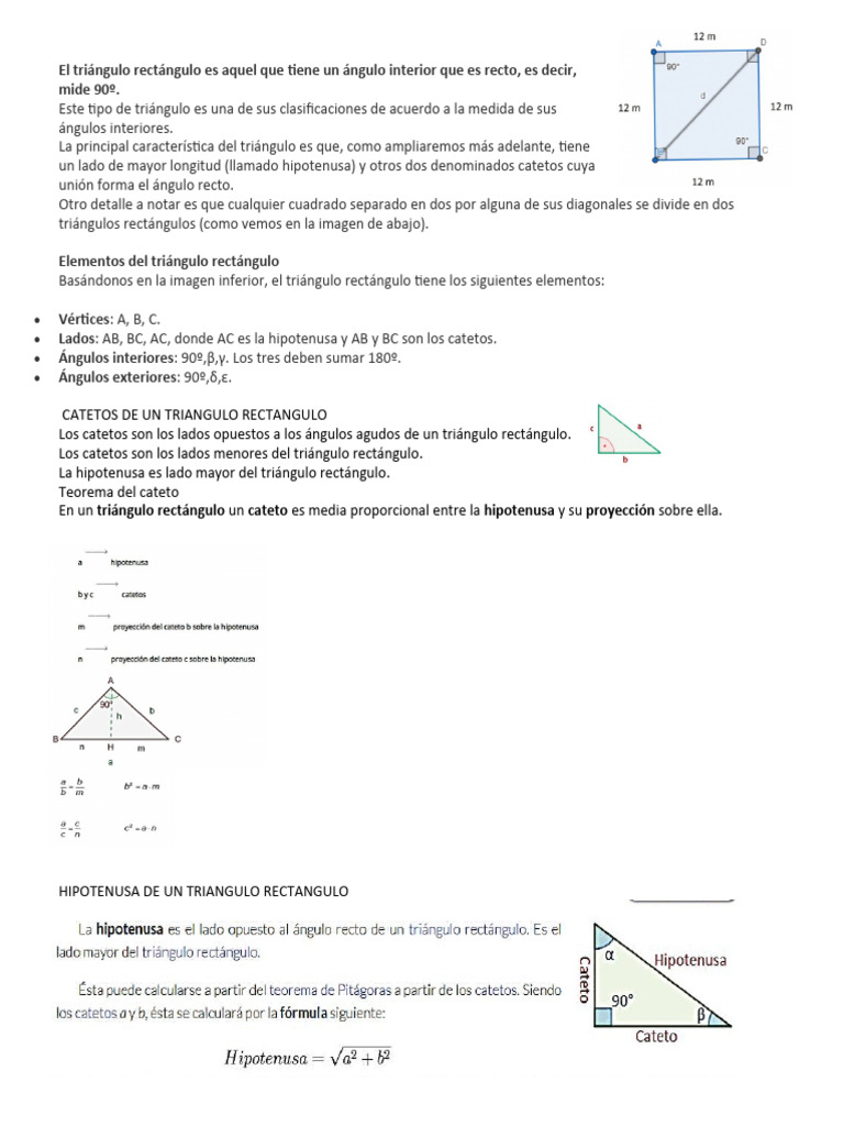 Triangulo Rectangulo Pdf