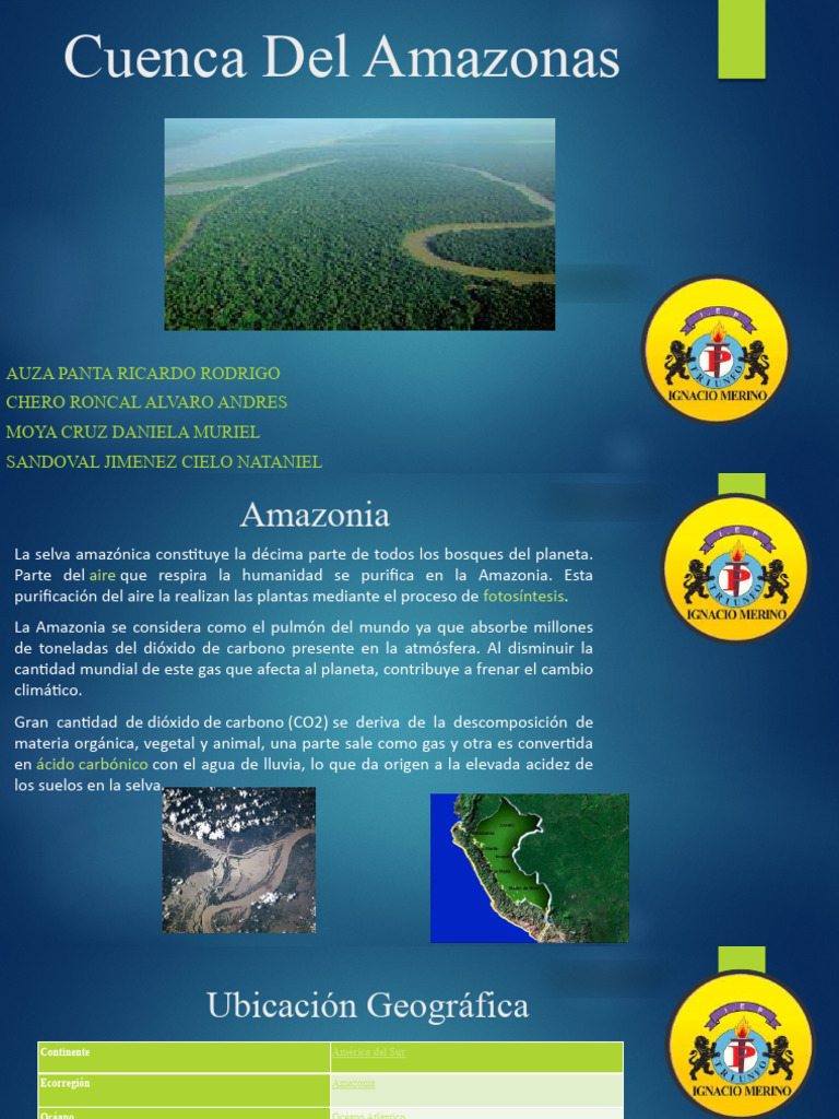 Cuenca Del Amazonas-Diapositiva Trabajo de Geografia | PDF | río ...