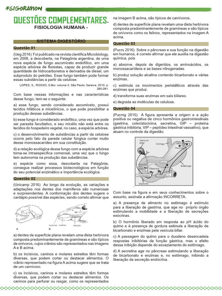Quest Es Complementares - Fisiologia Humana | PDF | Rim | Digestão