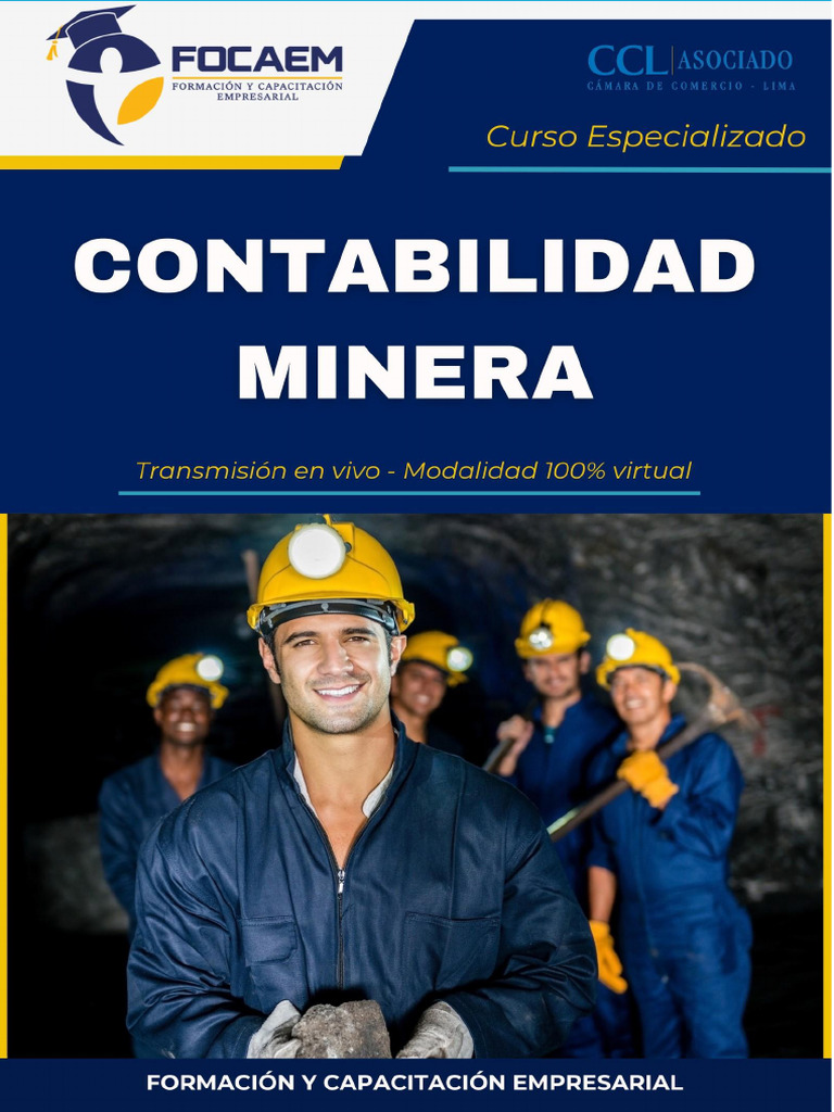 Brochure Contabilidad Minera | PDF