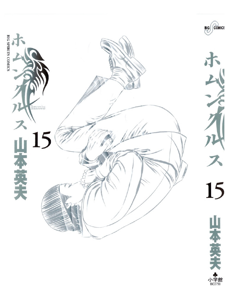 Homunculus Tomo 15 | PDF