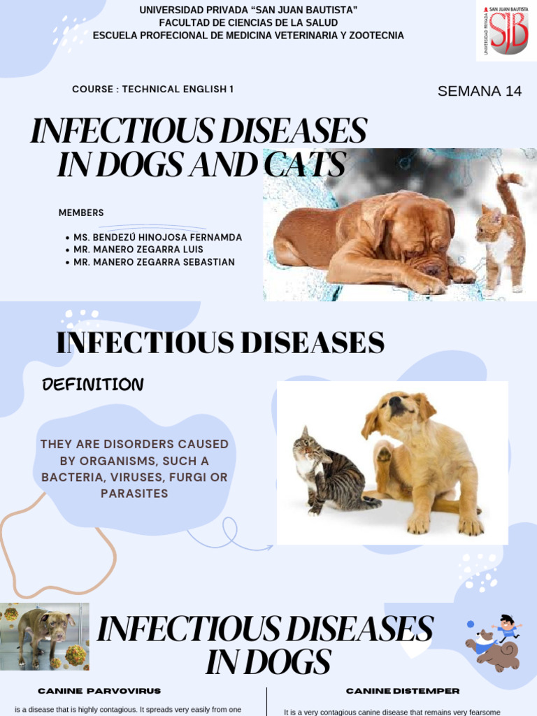 Infectious Diseases in Dogs and Cats | PDF | Infection | Virus