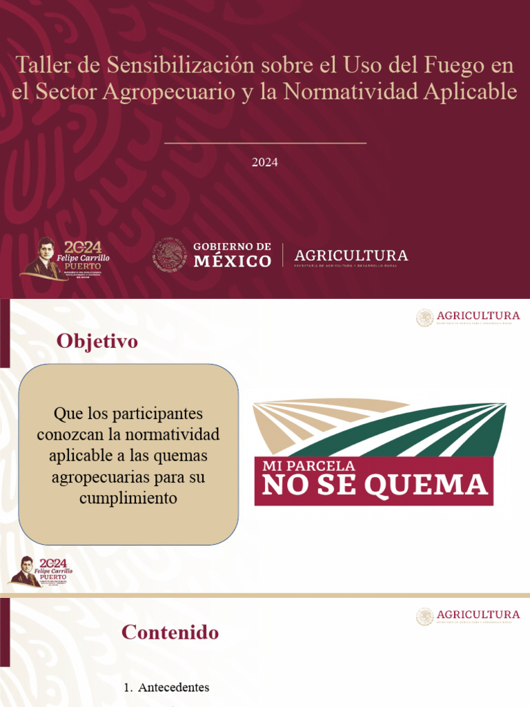 Talleres Mi Parcela No Se Quema 2024 | PDF | Agricultura | Entorno natural