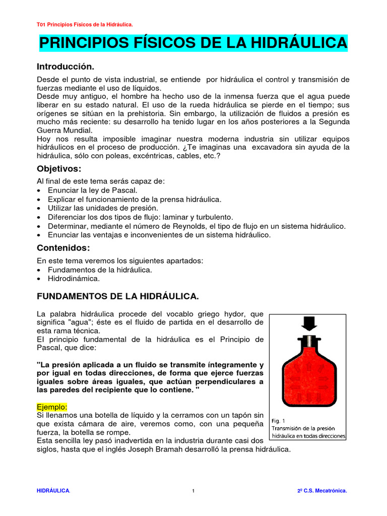 01 Principios Físicos de La Hidráulica | PDF | Numero Reynolds | Masa