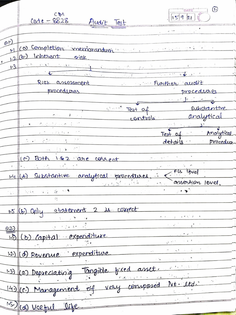 Audit Full Course | PDF