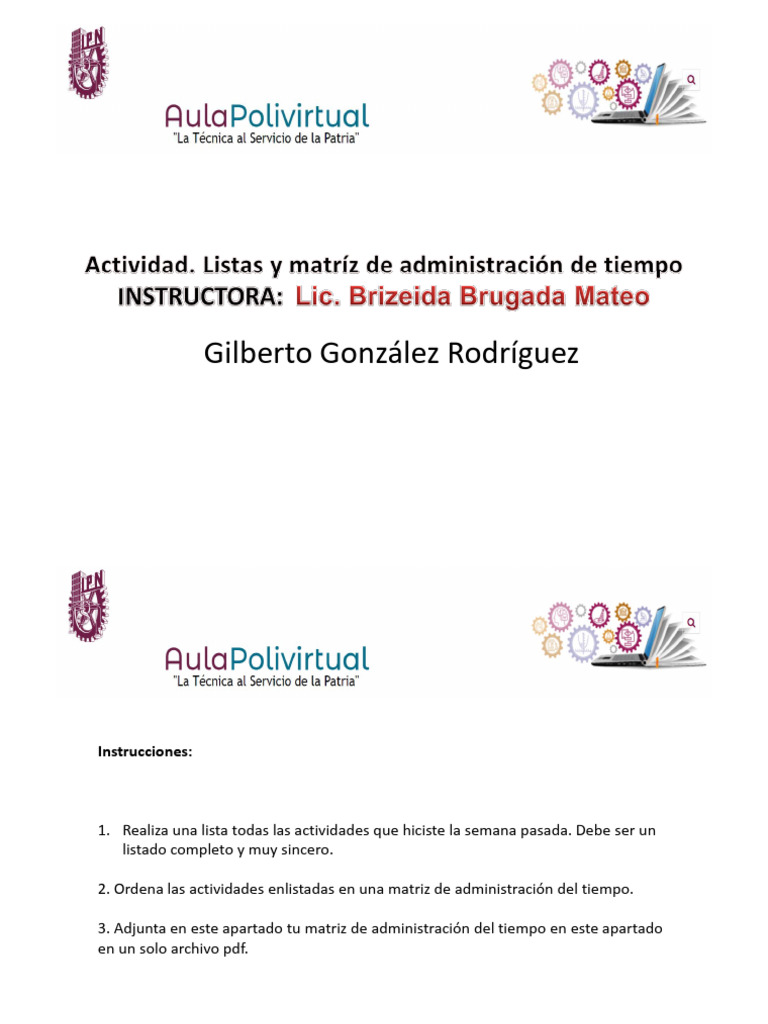Matriz de Administración de Tiempo_2_GGR | PDF