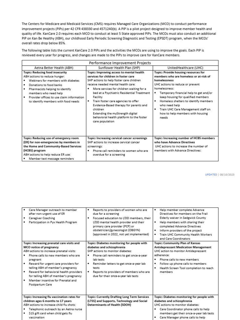 KANCARE Performance Improvement Projects PIP | PDF | Public Services ...