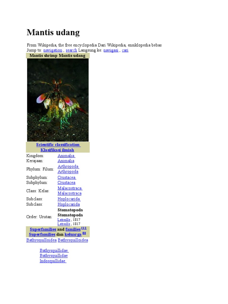 Mantis Udang | PDF