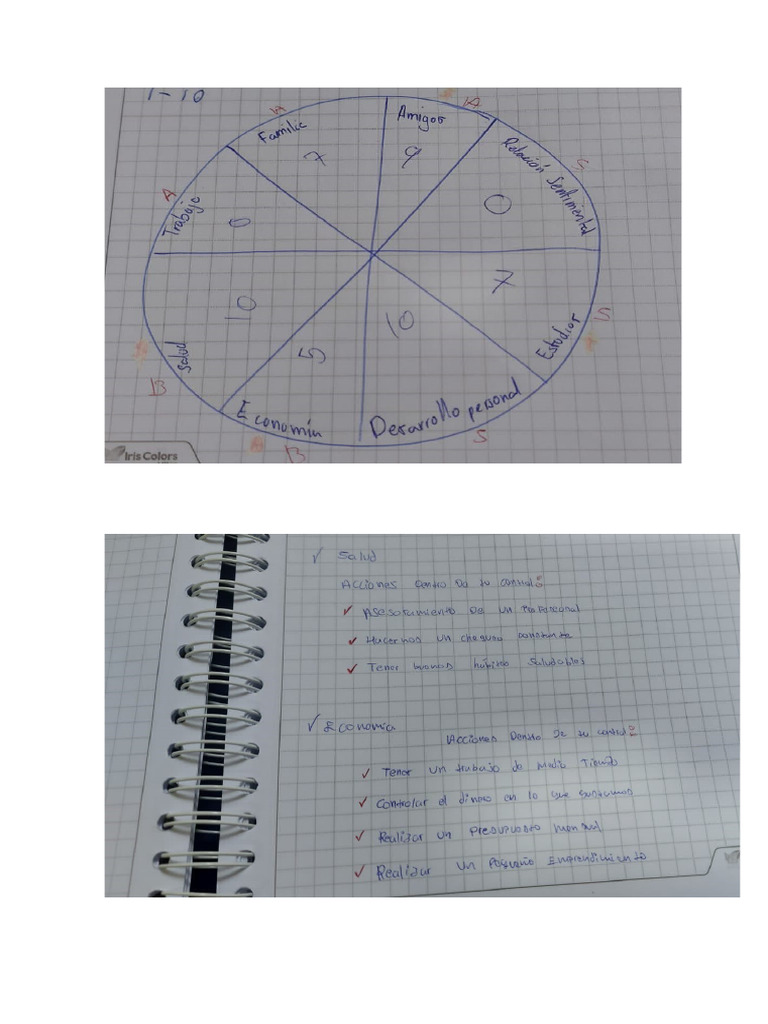 Documento Trabajo Ivu Semana 8 | PDF