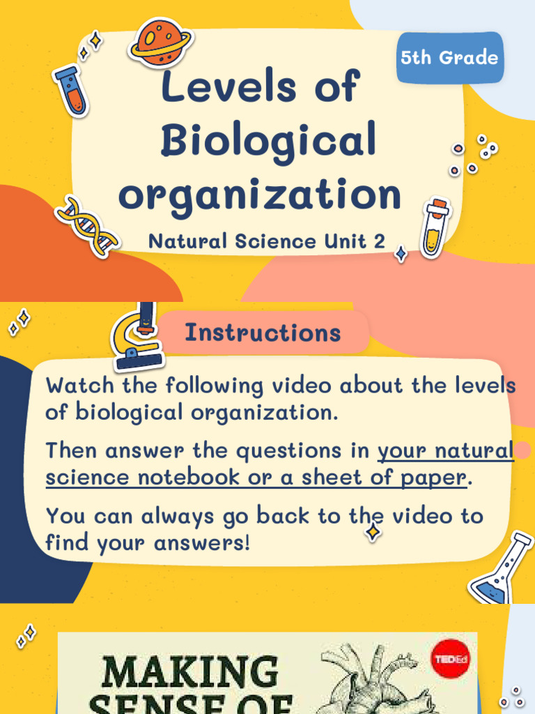 Levels of Biological Organization Video | PDF