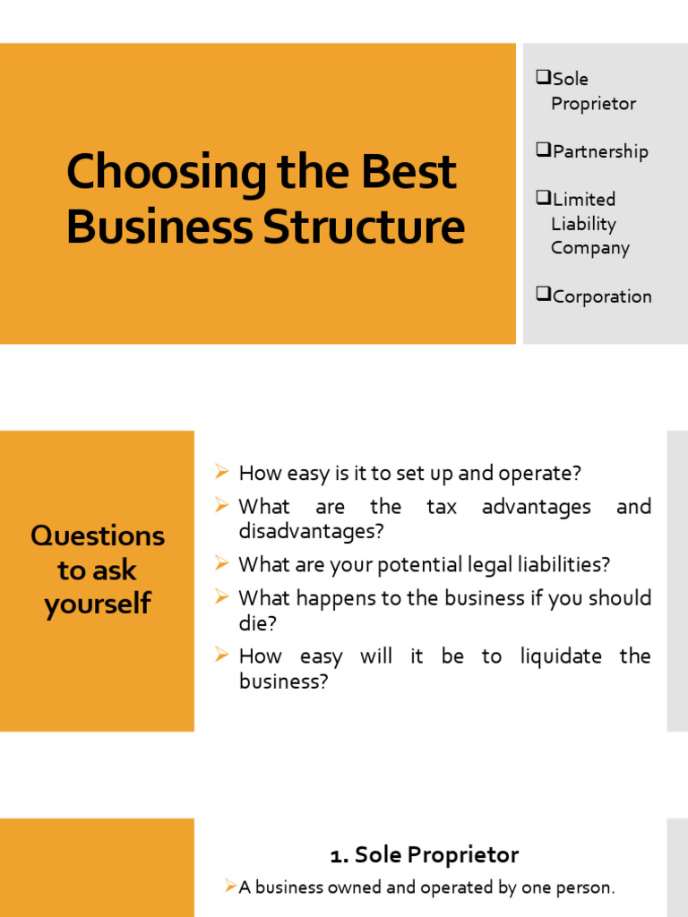 Types of Business Structures | PDF | Limited Liability Company | Corporations