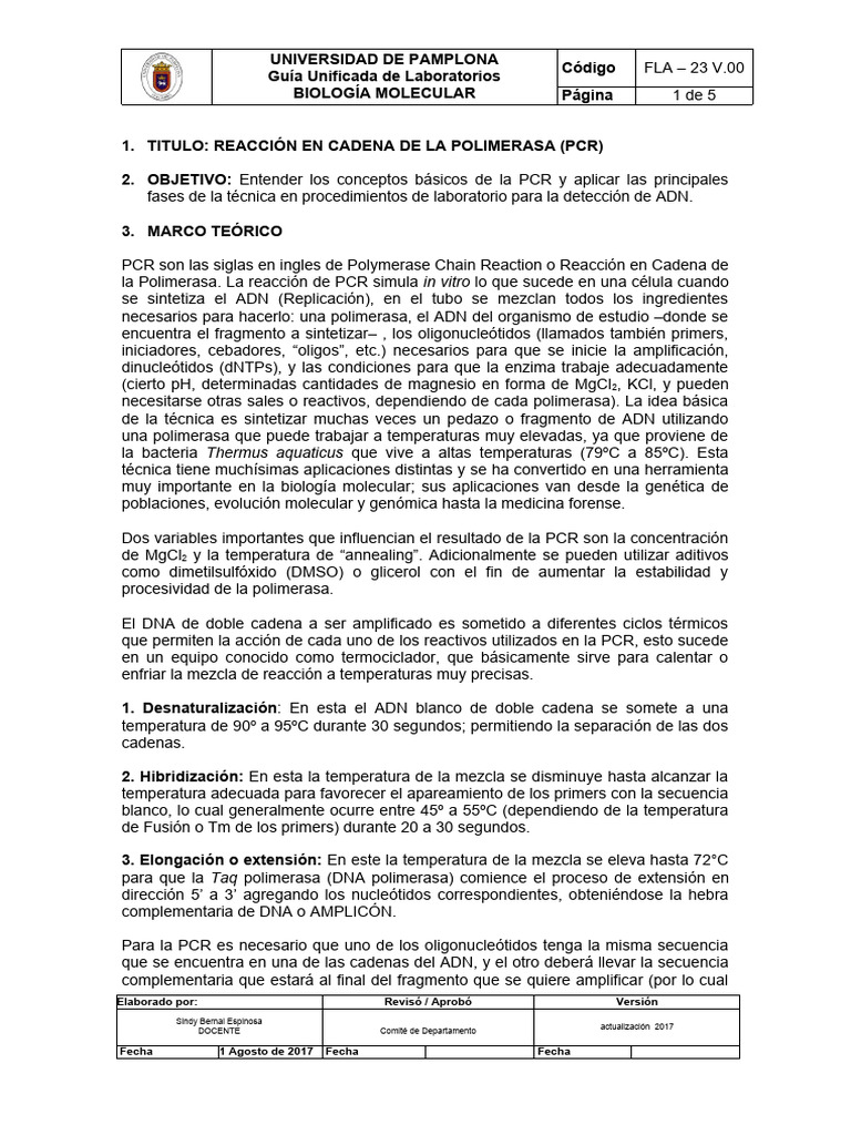 Aplicaciones y Pasos de la PCR | PDF | Reacción en cadena de la ...