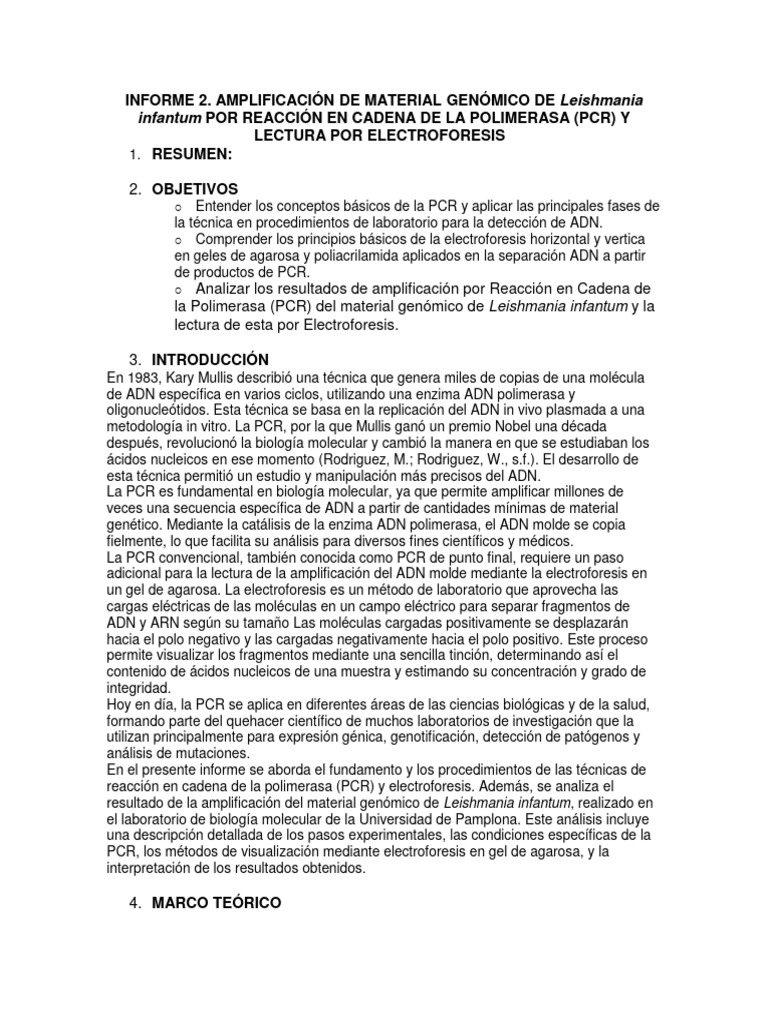 Informe PCR y Electroforesis | PDF | Reacción en cadena de la polimerasa | Primer (Biología ...