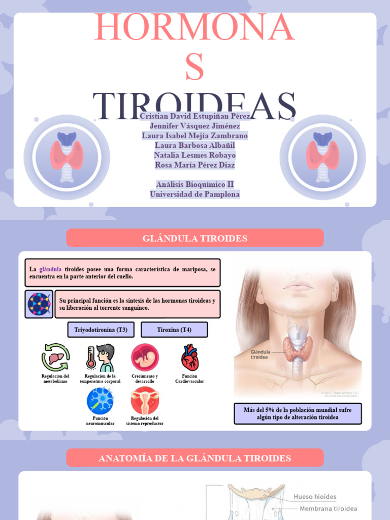 Exposición Hormonas Tiroideas | PDF | Hormona estimulante de la tiroides | Hipertiroidismo