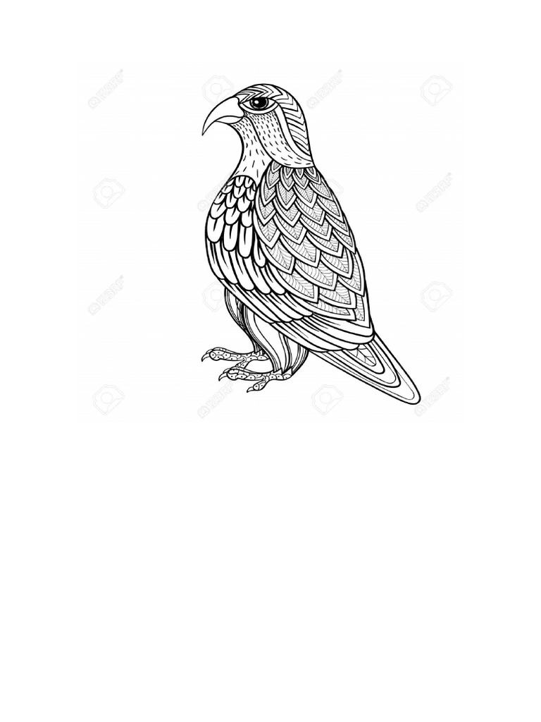 Fenix | PDF