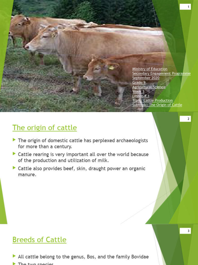 Grade 9 Agriculture Science Week 3 Lesson 1 | PDF | Cattle | Breeding