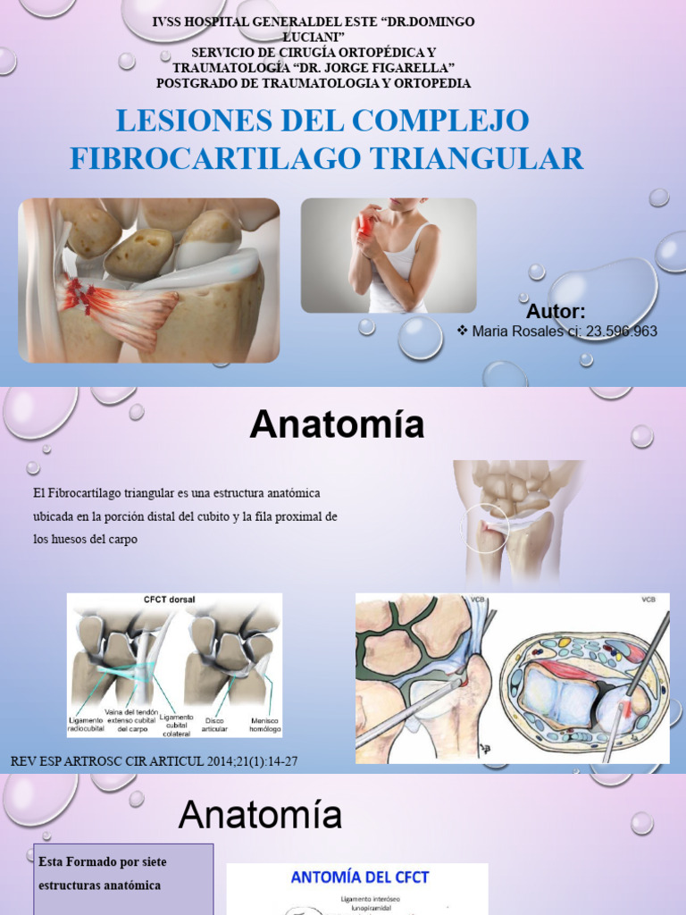 Fibrocartilago Triangular Diapos | PDF | Extremidades (anatomía ...