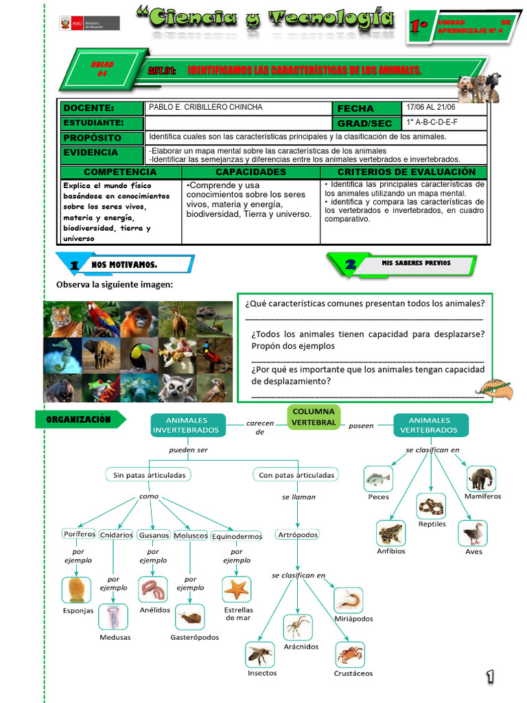1º Act 1 Cyt Unid 4 - Sem 1 | PDF | Esqueleto | Invertebrado