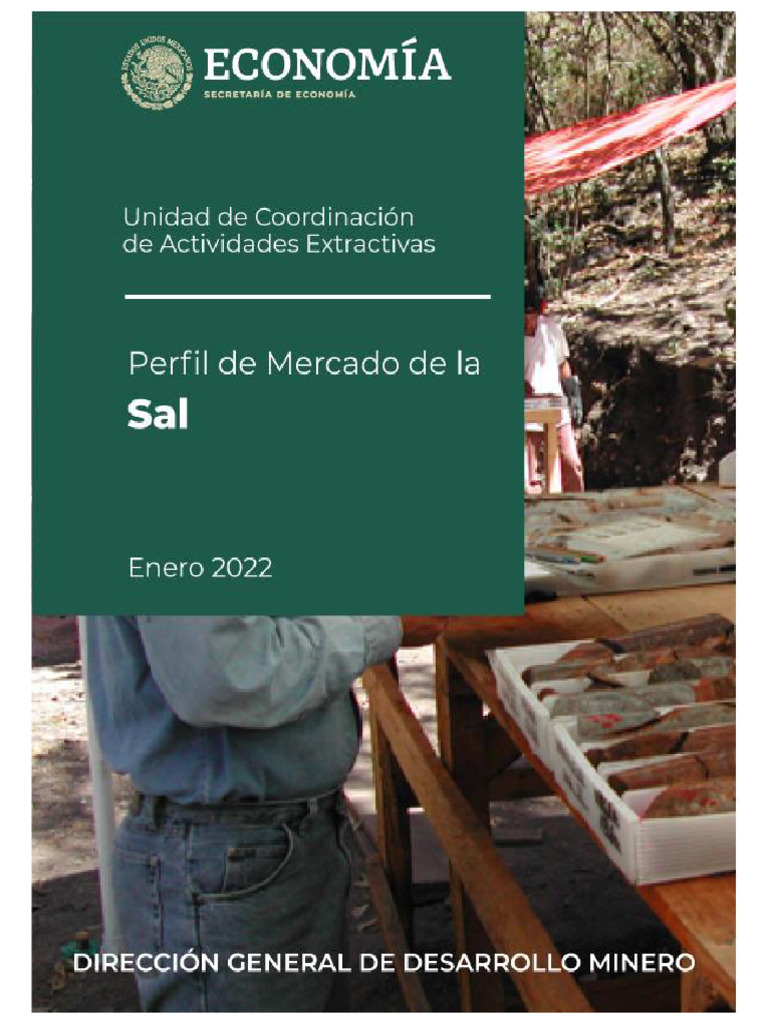 Perfil Sal 2021 T | PDF | sal | Sal (química)