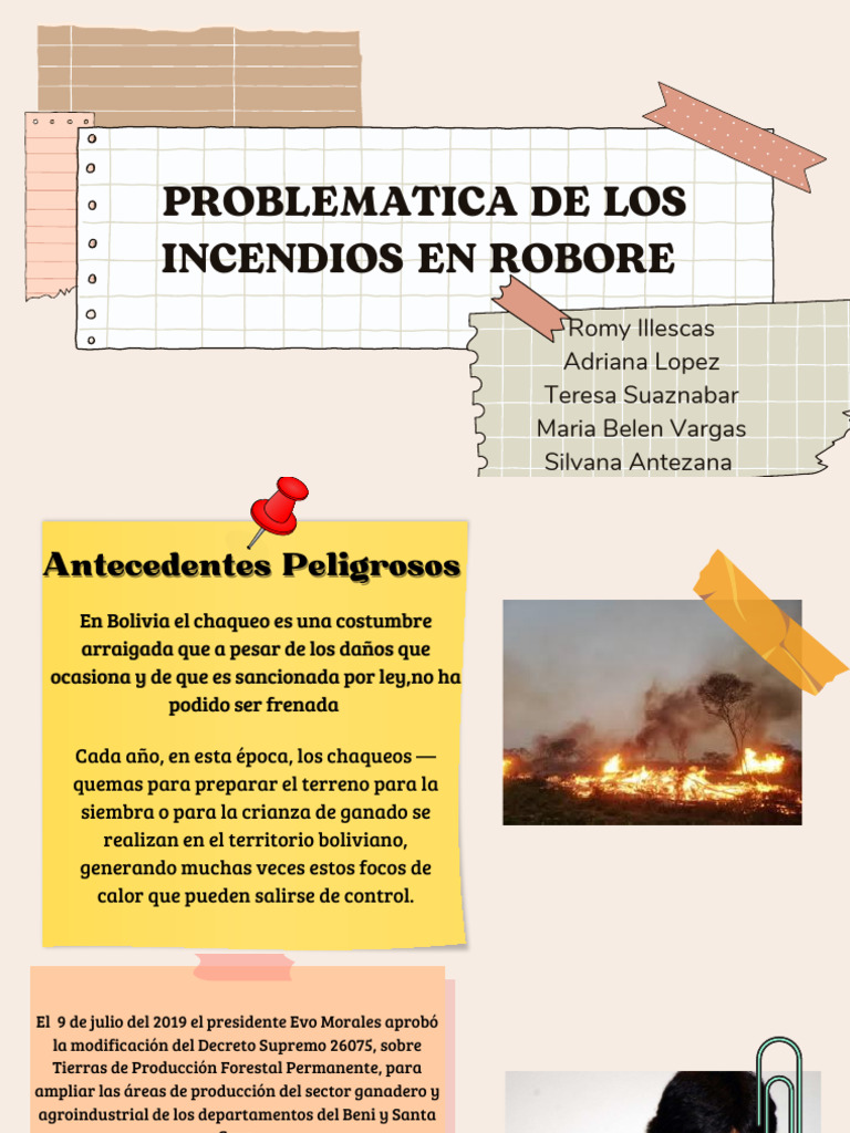 Problematica de Los Incendios en Robore | PDF | Deforestación | Los bosques