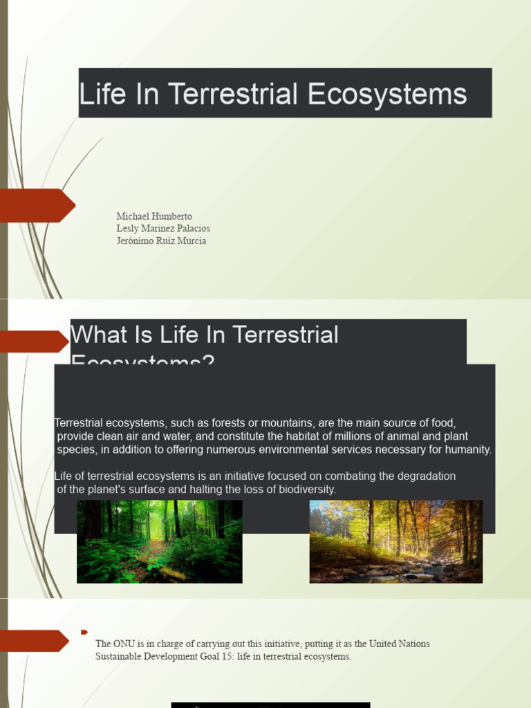 Diapositivas Ingles Ecosistemas Final | PDF | Ecosystem | Environmental Degradation
