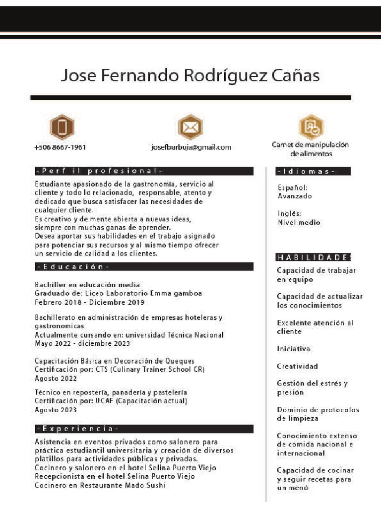 CV Jose Fernando Rodriguez Español | PDF