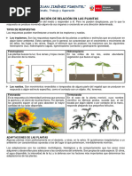 Adaptaciones de Las Plantas | PDF