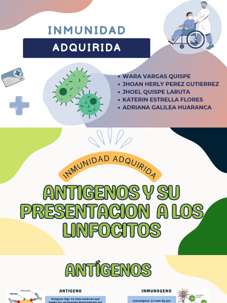 Inmunidad Adquirida | PDF | Célula T | Linfocitos
