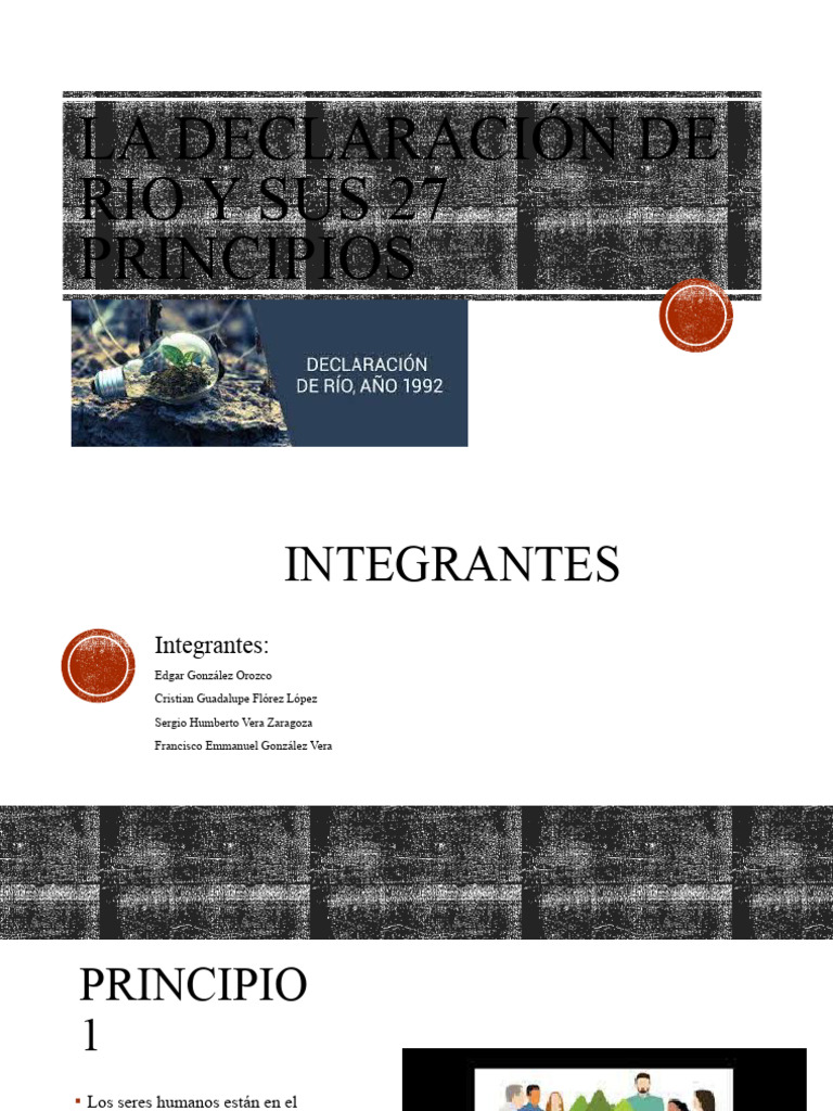 La Declaración de Rio y Sus 27 Principios | PDF | Entorno natural ...