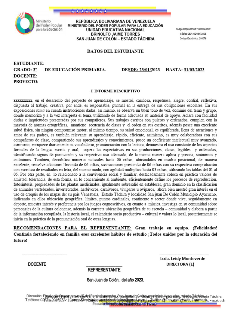 Modelo Informe Descriptivo | PDF