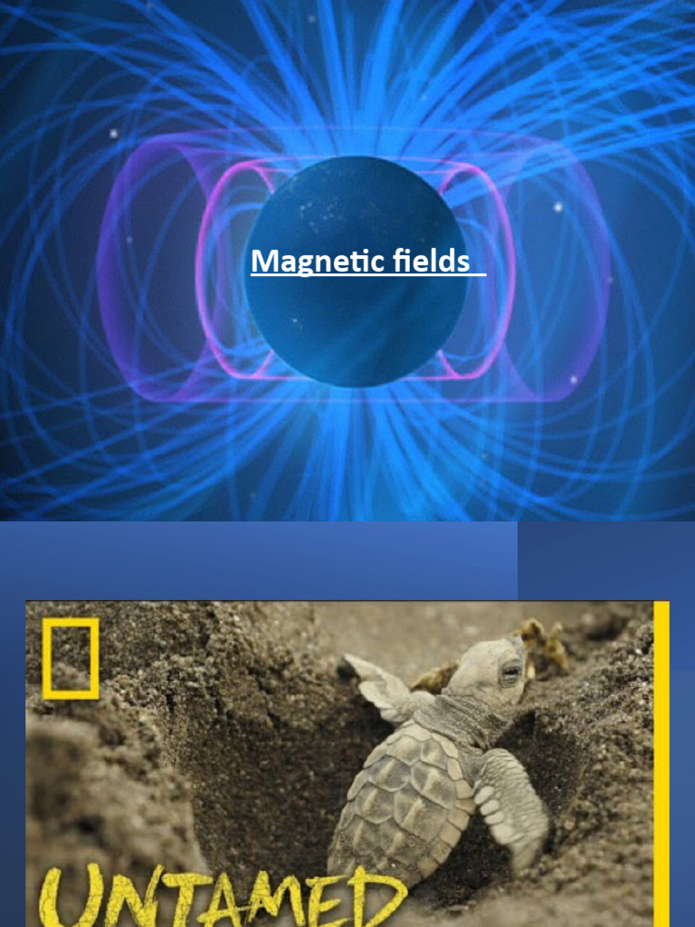 Magnetic Fields 1 | PDF | Magnetic Field | Magnetism